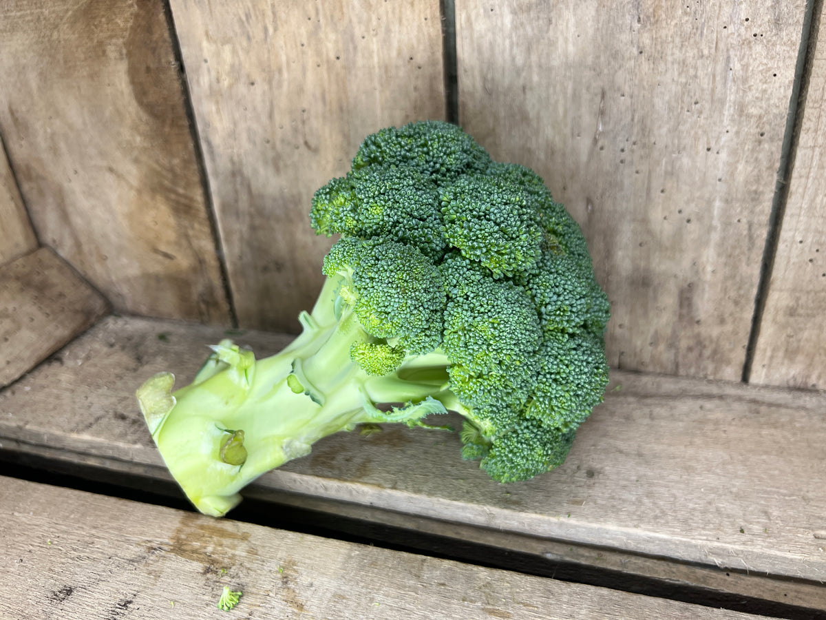Broccoli – Jones Farm Shop